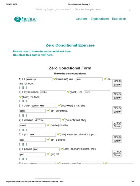 Zero Conditional Exercise 1 Pdf