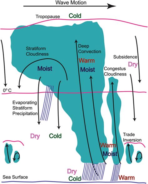 Typical Vertical Structures In Cloudiness Temperature And Humidity Download Scientific