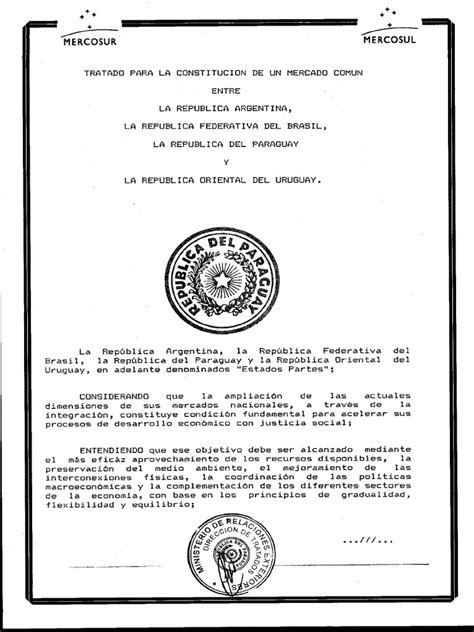 Cmc1991tratadoesasuncion Pdf