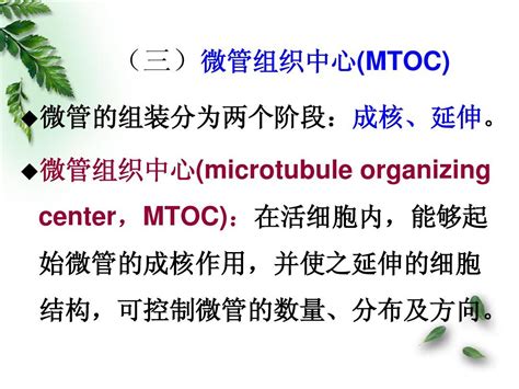 细胞骨架体系 Word文档在线阅读与下载 无忧文档