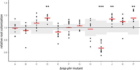 Arabidopsis Thaliana Root Colonization By Bacillus Subtilis Wt And Download Scientific Diagram