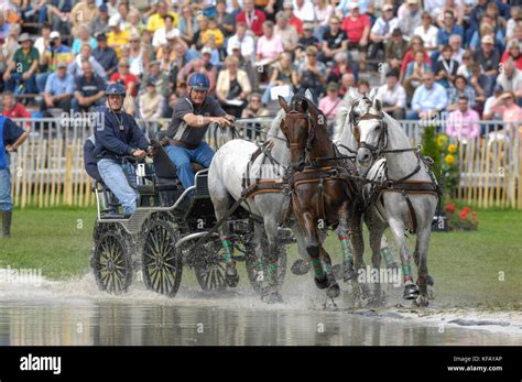 Felix Brasseur Bel World Equestrian Games Aachen 31 August 2006