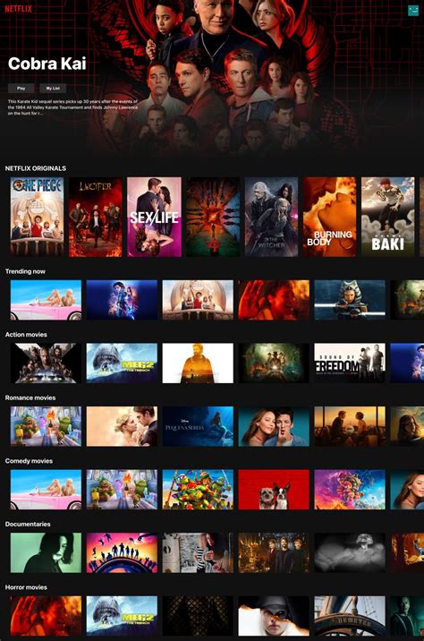 Built A Netflix Homepage With React Axios And Firebase Rishi Gupta