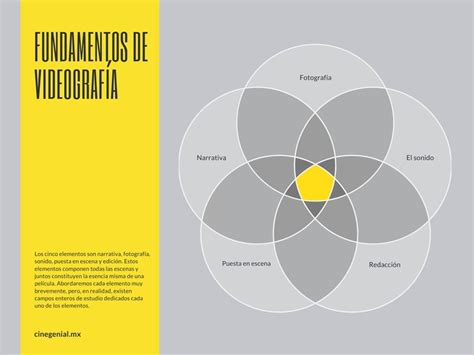 Plantillas Para Diagramas De Venn Imprimibles Gratis Canva