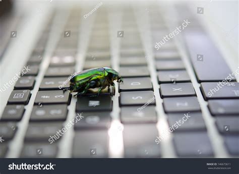 Computer Bug Stock Photo 146673611 Shutterstock