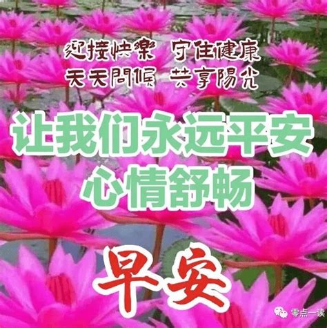 迎接快乐，守住健康生活影集蓝色