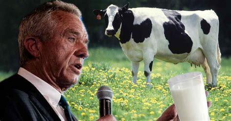 Internet Reacts To Rfk Jrs “i Only Drink Raw Milk” Declaration Meidastouch News