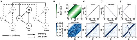 Learning Temporal Patterns With The Model By Coath Et Al 2013 And Download Scientific