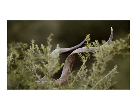 Johan Wasserman Photography