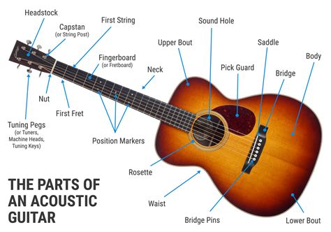 Names Of The Strings On Acoustic Guitar Shop