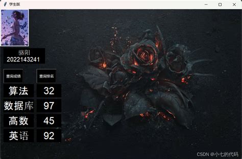Python实现的学生信息系统设计与开发 Csdn博客