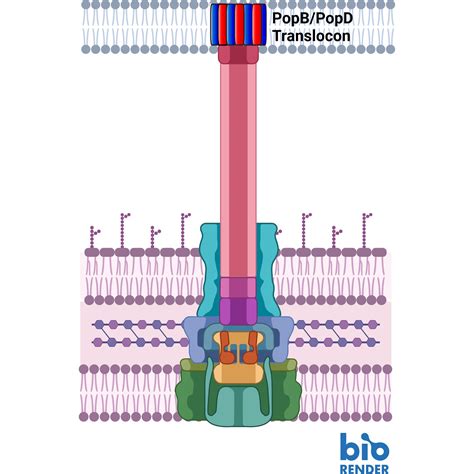 Sabotaging Superbugs Scientists Unveil New Tactics Against Antibiotic Resistance