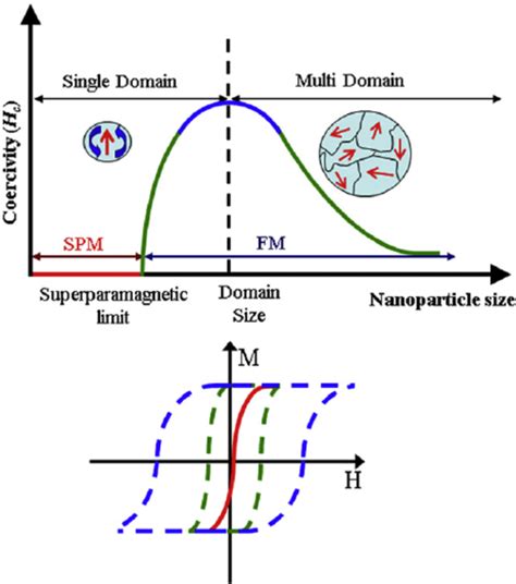 Enhanced Pulsed Magneto Motive Ultrasound Imaging Using Superparamagnetic Nanoclusters Pdf