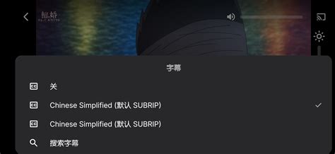 Bug Report Incorrect Subtitle Language Selection During Transcoding