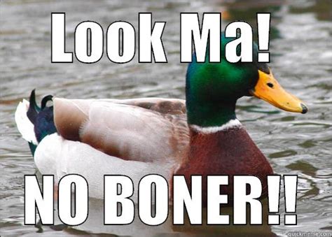 Mallard With A Boner Underwater Boner Quickmeme