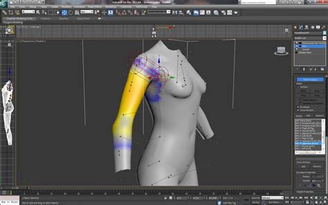 Dsmax Weighting Skinning New Body Mesh From Scratch Skyrim Technical Support Loverslab