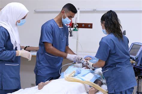 Training And Capacity Building For Lebanese Youth And Syrian Refugees