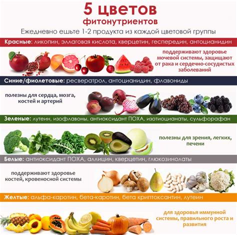 Таблица полезных продуктов овощей и фруктов их свойства