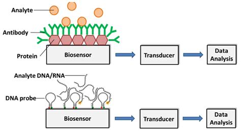 What Is Biosensor