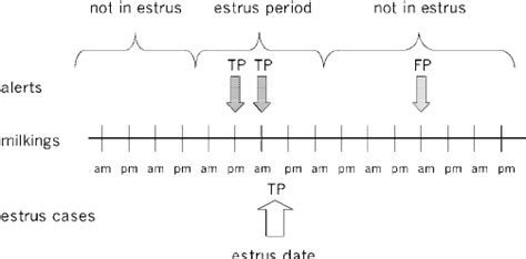 Example Of Classi Fi Cation Of Estrus Alerts And An Estrus Case 16 Download Scientific Diagram
