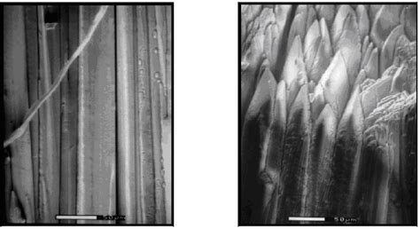 Figure 1 1 From Electrical Properties Of Amorphous Selenium Based
