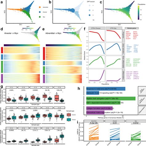 trajectory inference identifies consensus gene modules associated with