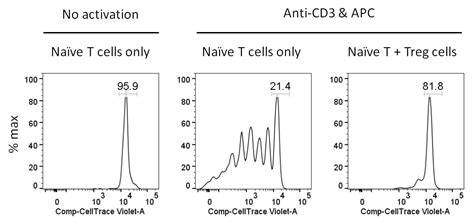 Celltrace Violet Cell Proliferation Kit Kit Reagent Review