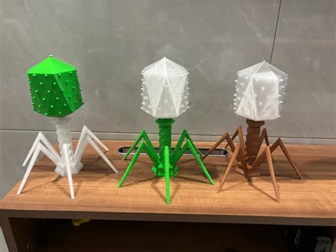 T4噬菌体 来自 Li N It Makerworld