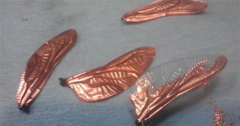 Electro Formed Dragonfly Album On Imgur