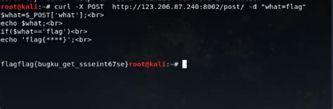Ctf Curl的使用ctf Curl Csdn博客 Ctf Curl的使用ctf Curl Csdn博客