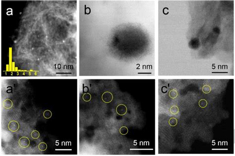 什么是单原子催化剂？ 华算科技