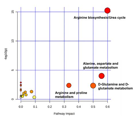 Metabolic Pathway Analysis By Metaboanalyst The Pathway Analysis Was Download Scientific