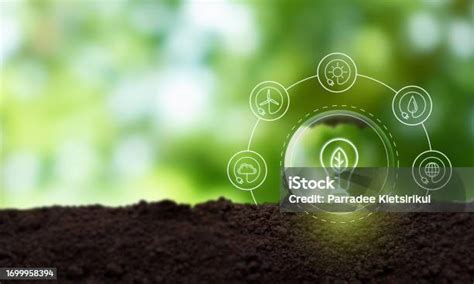 재생 가능 에너지 지속 가능한 청정 에너지 개념 기후 변화와 지구 온난화를 제한하는 탄소 저감 솔루션 환경 보호 지속 가능한 에너지원 아이콘이 있는 수정 구슬 바이오매스에