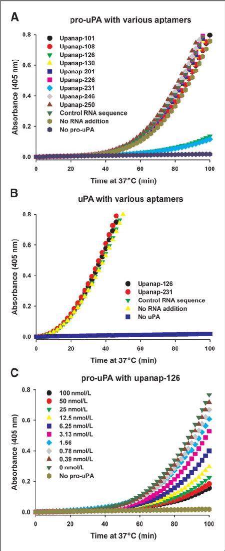 Selected Aptamers Inhibit In Vitro Plasminogen Activation Initiated By Download Scientific