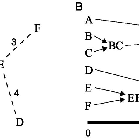 Graphical Representation Of Hierarchical Clustering Hierarchical
