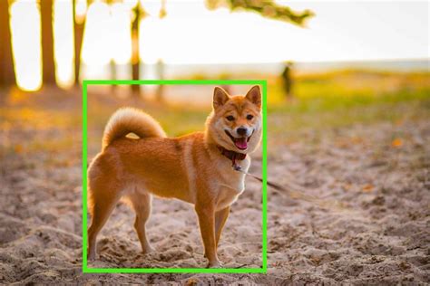 How To Build An Object Detection Project Step By Step Guide For Beginners Pysource