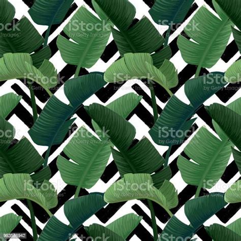 손 녹색 바나나 팜 그린된 벡터 원활한 패턴은 급격에 나뭇잎 Zag 줄무늬 기하학적 흑백 배경 여름 열 대 인쇄 열대 기후에 대한 스톡 벡터 아트 및 기타 이미지 Istock