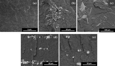 Selected Sem Micrographs Of Compression Molded Plates Obtained From
