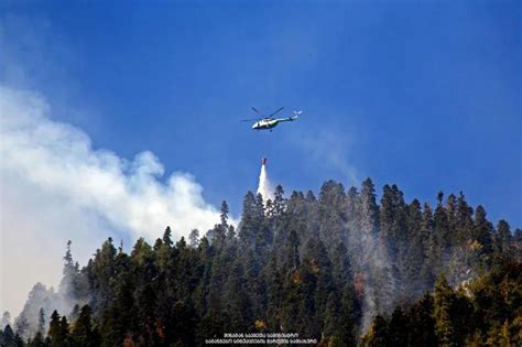 ლიკანის მიმდებარედ ტყის მასივში გაჩენილი ხანძრის ქრობის მიზნით სასაზღვრო პოლიციის სამმა