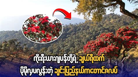 ချင်းတောင်တန်းရဲ့ အလှ တောင်ဇလပ်ပန်း Youtube