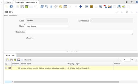 Css Style Window Id Idempiere En