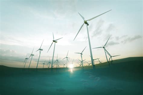 Eneco To Provide Albert Heijn With Power From Most Ecological Wind Farm
