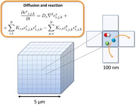3d Lattice Employed In The Simulations And Diffusion And Reaction Download Scientific Diagram