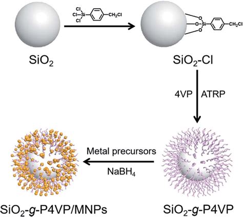 Schematic Illustration Of The Fabrication Of Sio 2 G P4vpmnps In