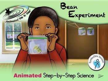Bean Experiment Animated Step By Step Science Project SymbolStix By Bloom