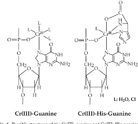 Figure 6 From Sequence Specificity Of Cr Iii Dna Adduct Formation In The P53 Gene Ngg