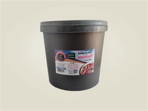 Egyptian Mix Pickle Miim