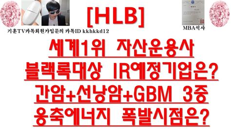 주식투자 Hlb세계1위 자산운용사블랙록대상 Ir예정기업은간암선낭암gbm 3중응축에너지 폭발시점은 Youtube