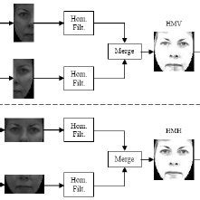 Homomorphic Filter Variation Download Scientific Diagram