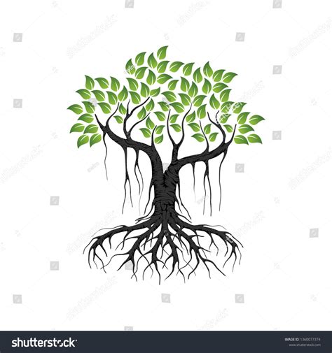 Tree Roots Vector Tree Round Shape Stock Vector Royalty Free Shutterstock